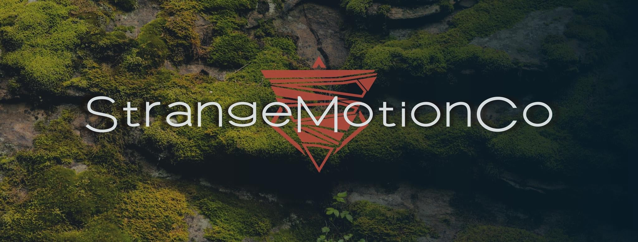 Strange Motion Limited Co